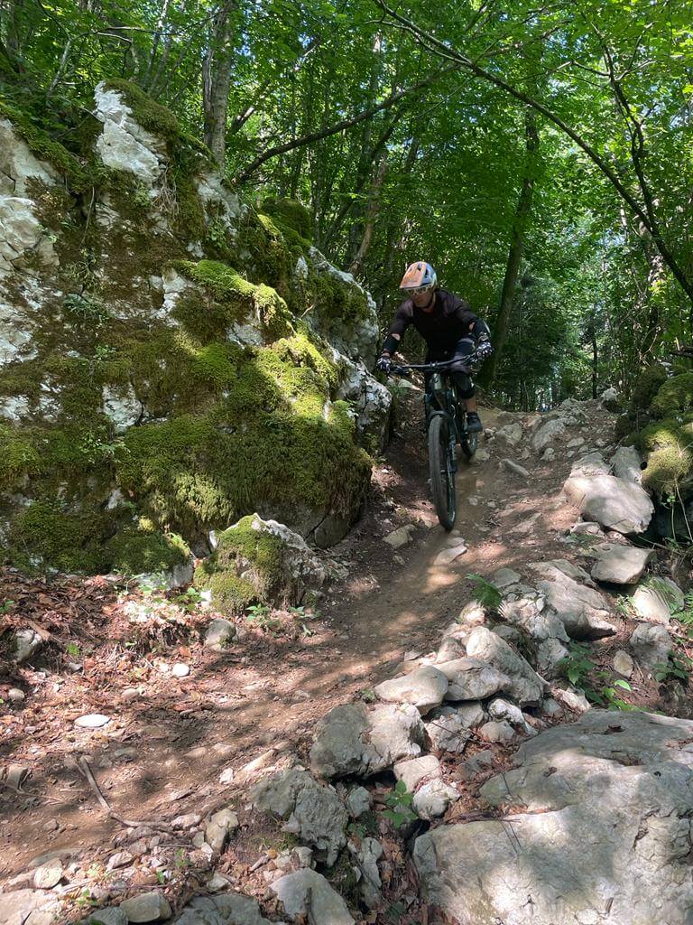 גלרייה | Bike Up -בייק אפ