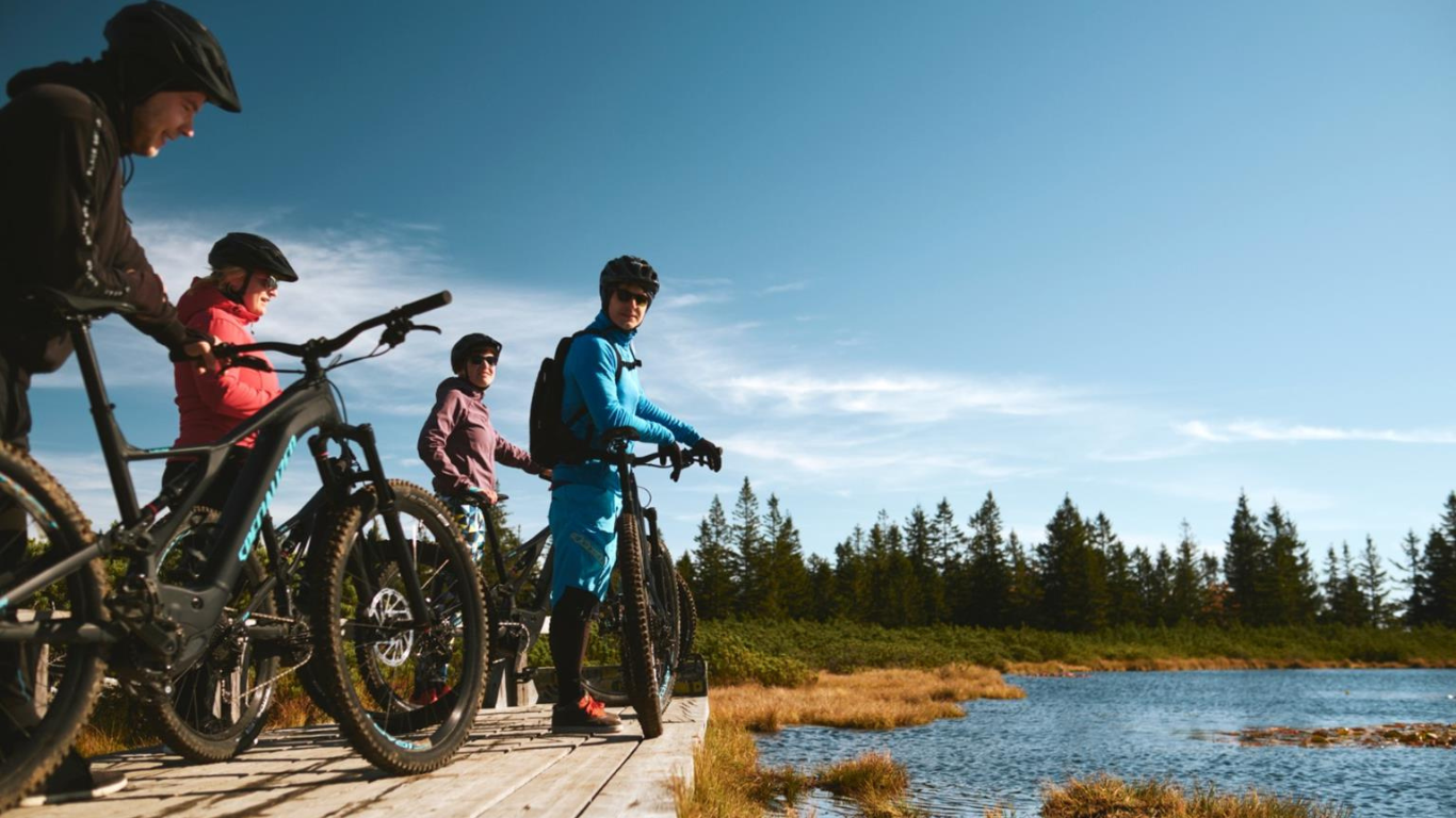Bike Up | Expert-Guided Mountain Biking & Road Cycling Adventures