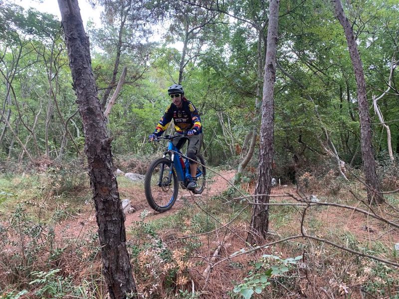 גלרייה | Bike Up -בייק אפ